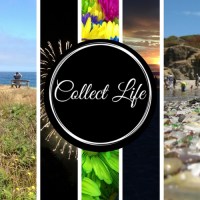 September 2025 – Collect Life